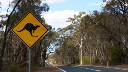 roo sign | Janet Kuyvenhoven